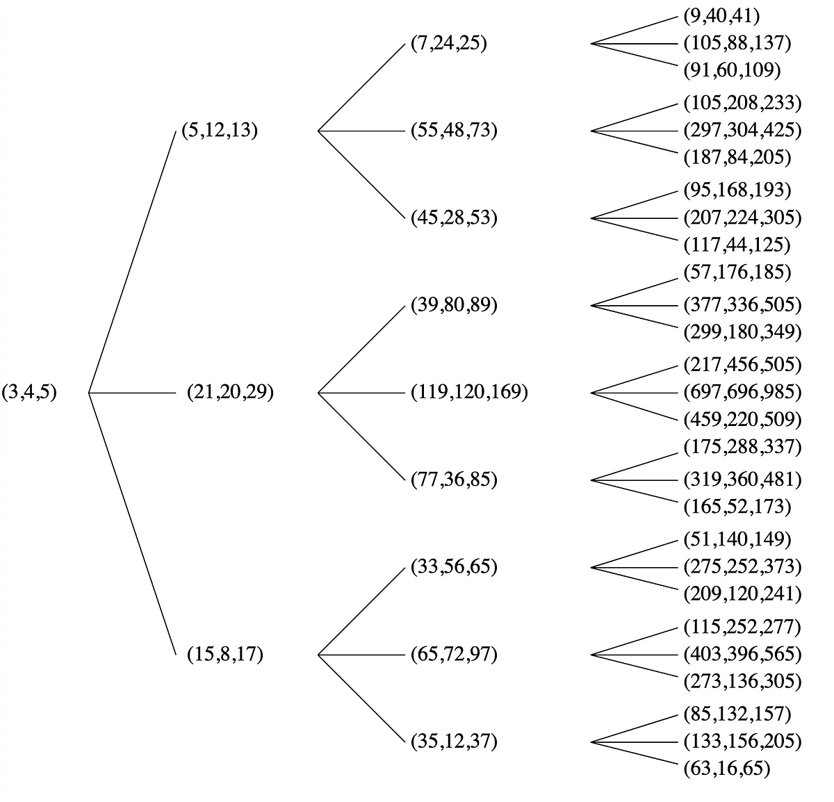 Building strongly typed vectors and matrices in TypeScript Building strongly typed vectors and matrices in TypeScript